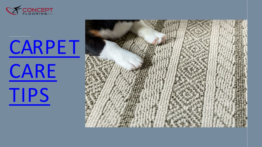 PPT - Carpet-Care-Tips PowerPoint Presentation, free download - ID:11857191