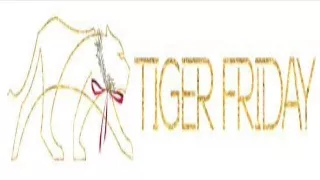 Tiger Friday Online Presentations Channel