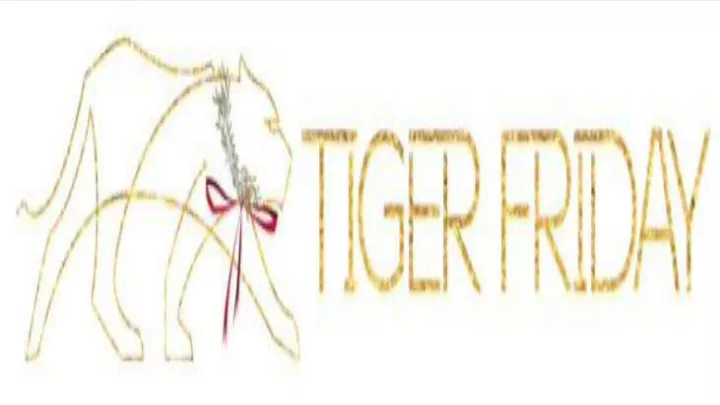 PPT - Shop Unitards Dancewear Online - Tiger Friday PowerPoint ...