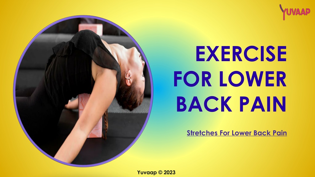 PPT - Exercise For Lower Back Pain PowerPoint Presentation, free ...