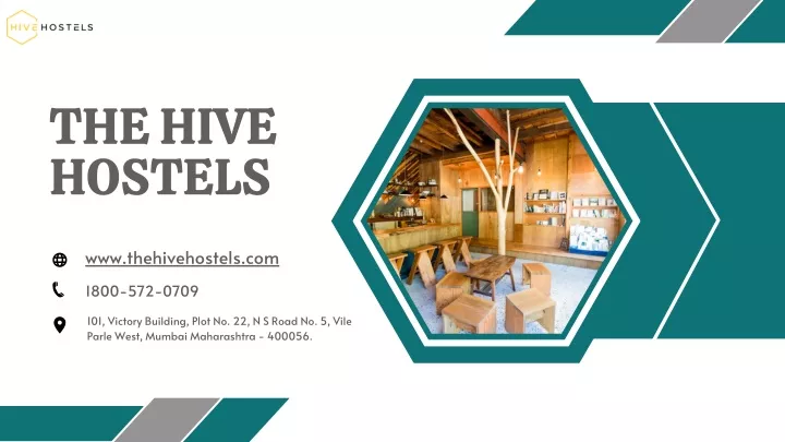 PPT - Best Student Hostels In Mumbai | The Hive Hostels PowerPoint Presentation - ID:11886311