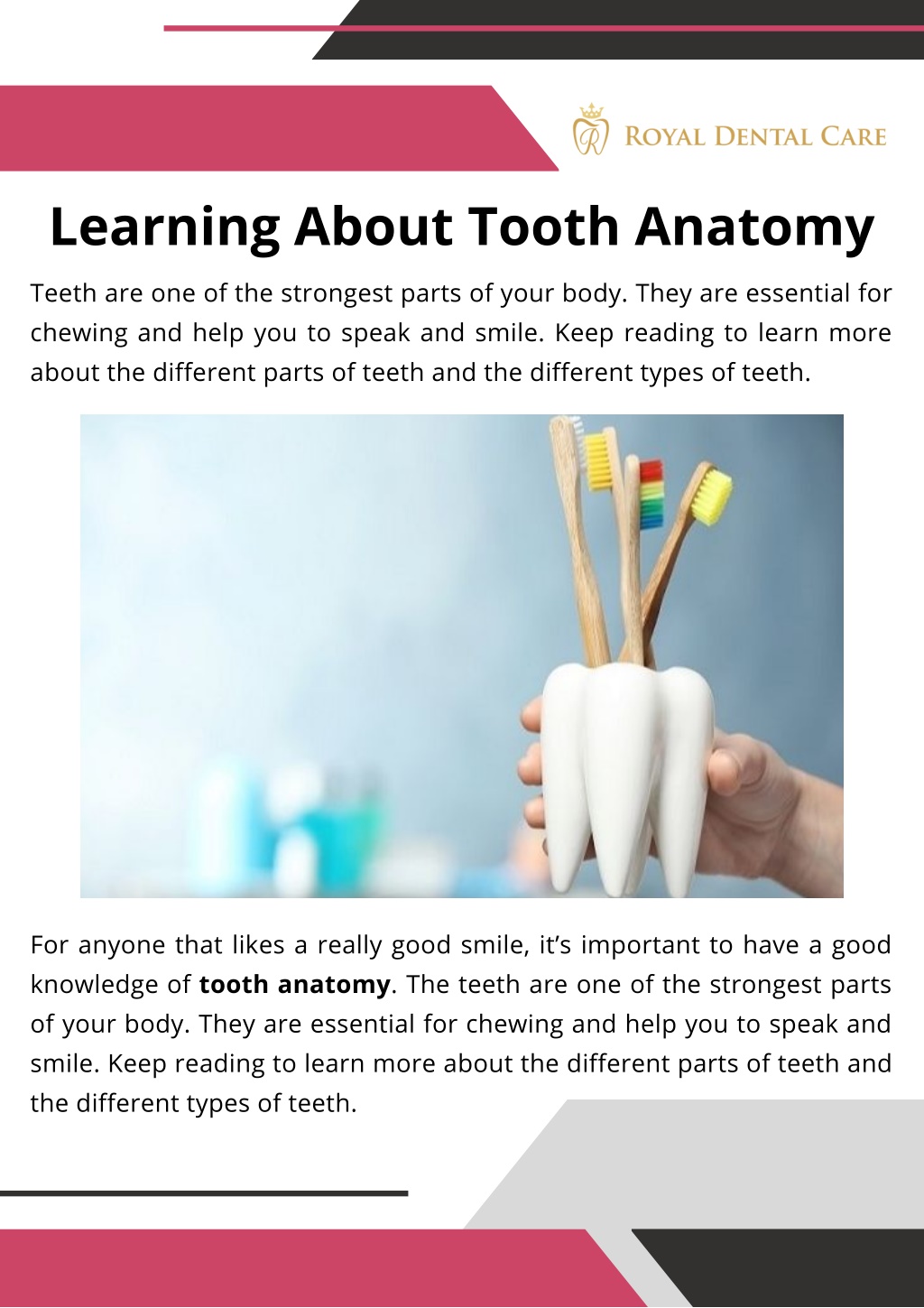 PPT - Learning About Tooth Anatomy PowerPoint Presentation, free ...