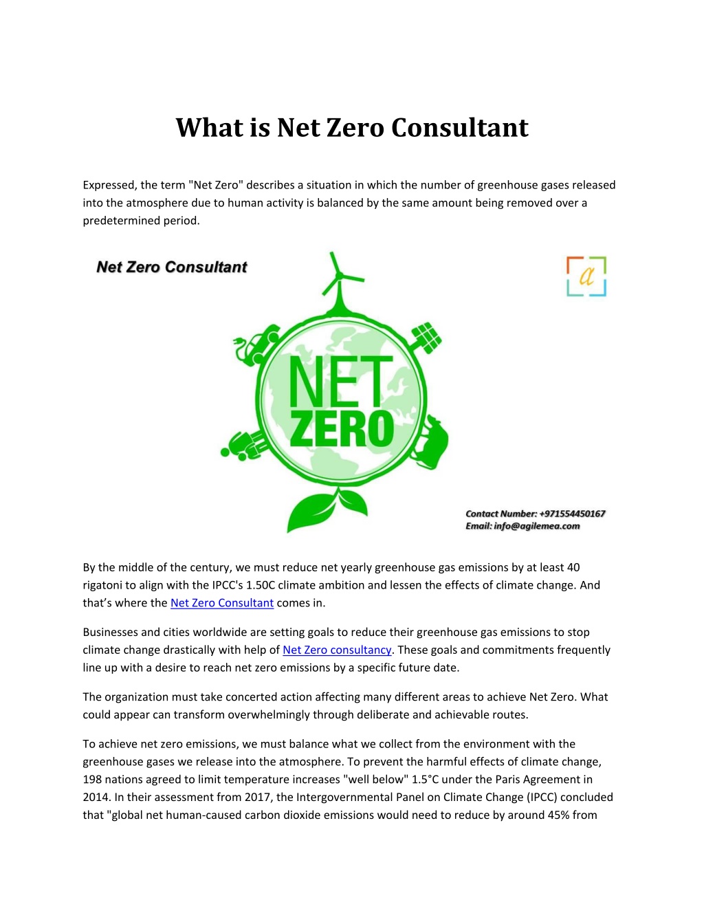 PPT - What is Net Zero Consultant PowerPoint Presentation, free download - ID:11898102