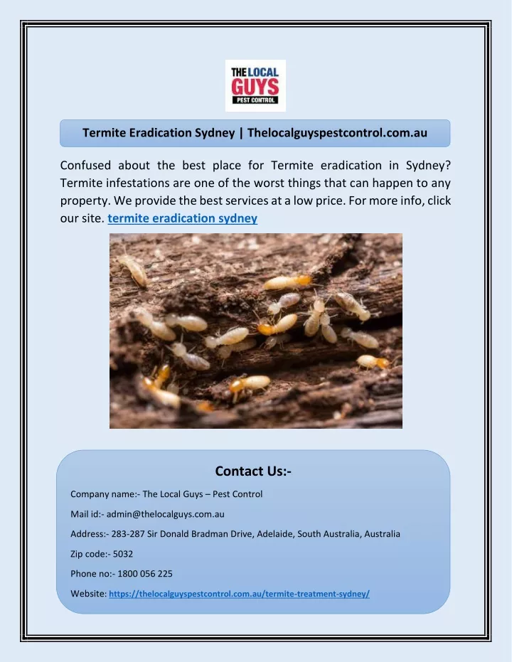 PPT - Termite Eradication Sydney | Thelocalguyspestcontrol.com.au ...