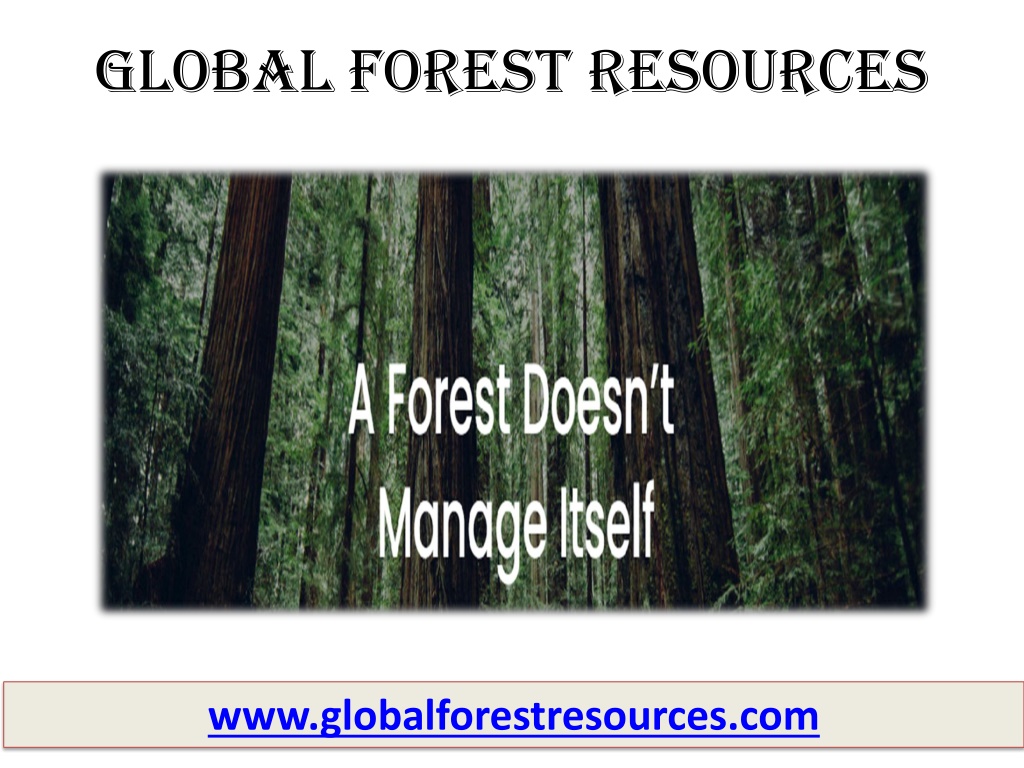 PPT - Best Forest management - Global Forest Resources PowerPoint ...