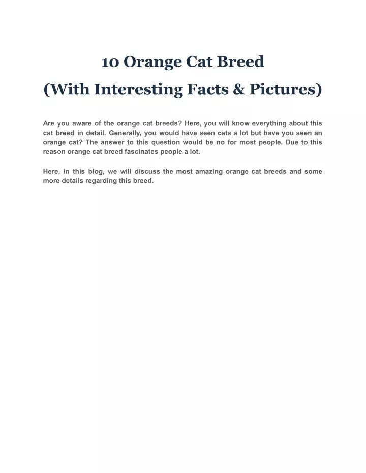 PPT - 10 Orange Cat Breed (With Interesting Facts & Pictures ...