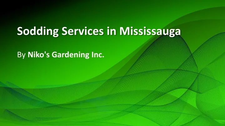 PPT - Get the Best Sodding Services in Mississauga, ON PowerPoint ...