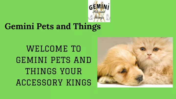 PPT - Buy the Best Cats Paw Cleaning Cats Matt - Gemini Pets and Things ...