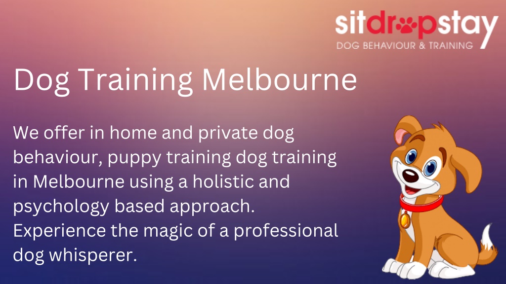 PPT - Dog Training Melbourne PowerPoint Presentation, free download ...