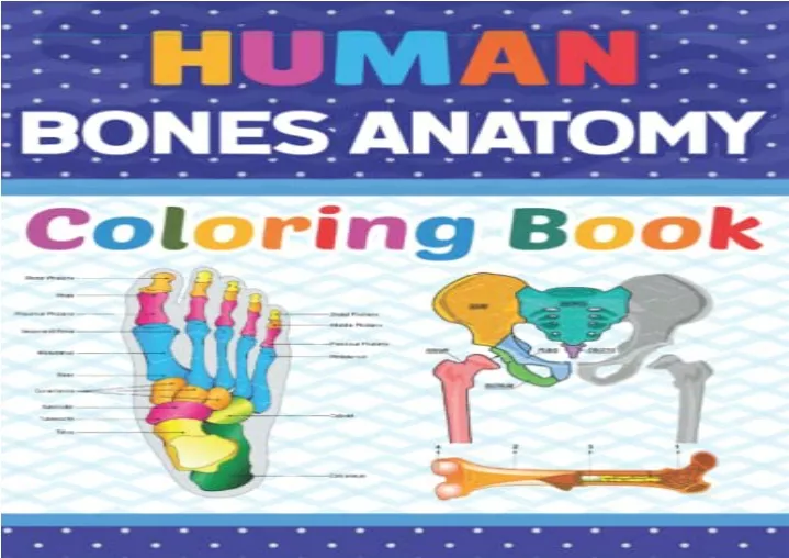 Ppt Download Human Bones Anatomy Coloring Book Human Bones Anatomy