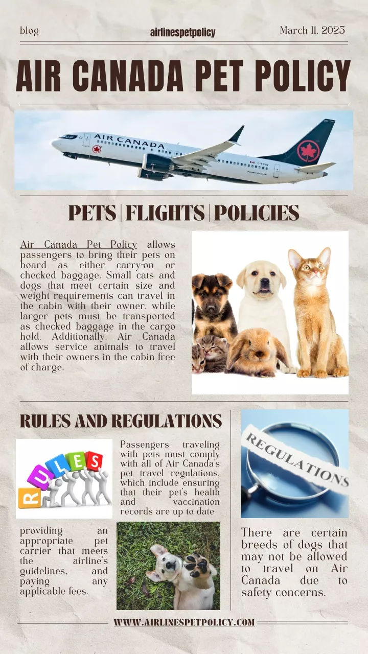 PPT - Air Canada Pet Policy | Travel with your pets on flights ...