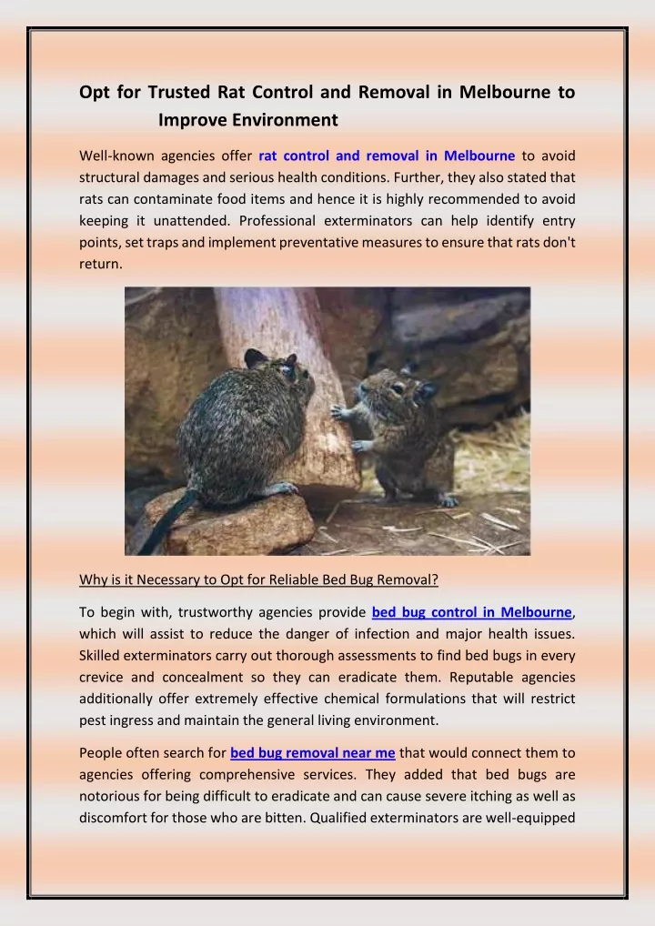 PPT - Opt for Trusted Rat Control and Removal in Melbourne to Improve ...