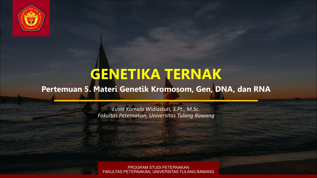 PPT - Materi Genetik Kromosom, Gen, DNA, dan RNA - Materi Genetika ...