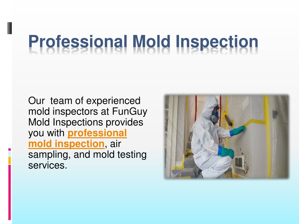 PPT - Professional Mold Inspection PowerPoint Presentation, free download - ID:12070982