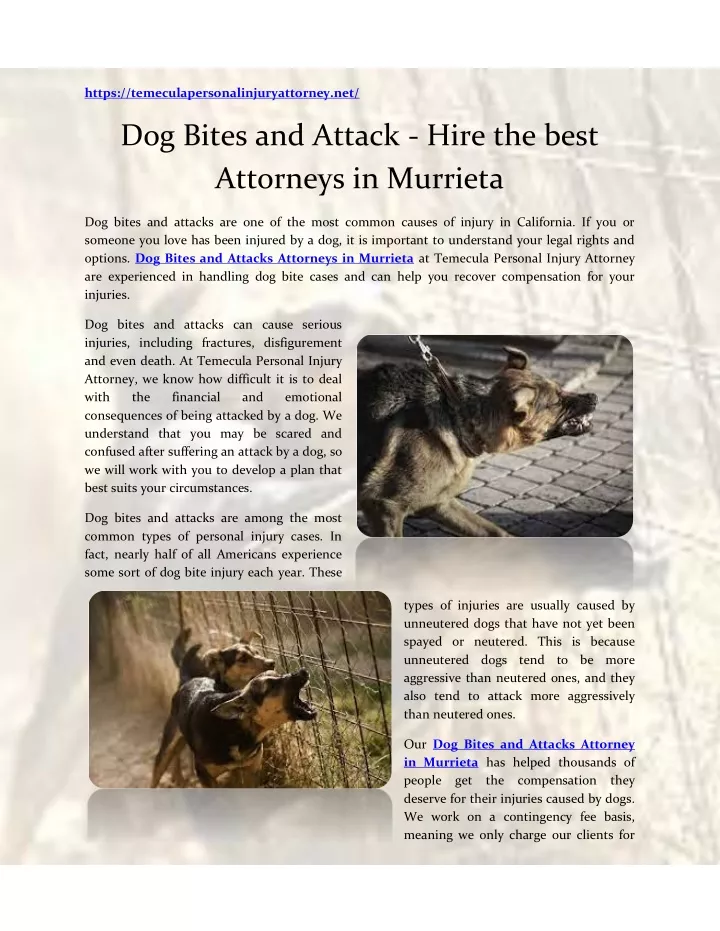 PPT - Temecula Personal Injury Attorney PowerPoint Presentation, free ...