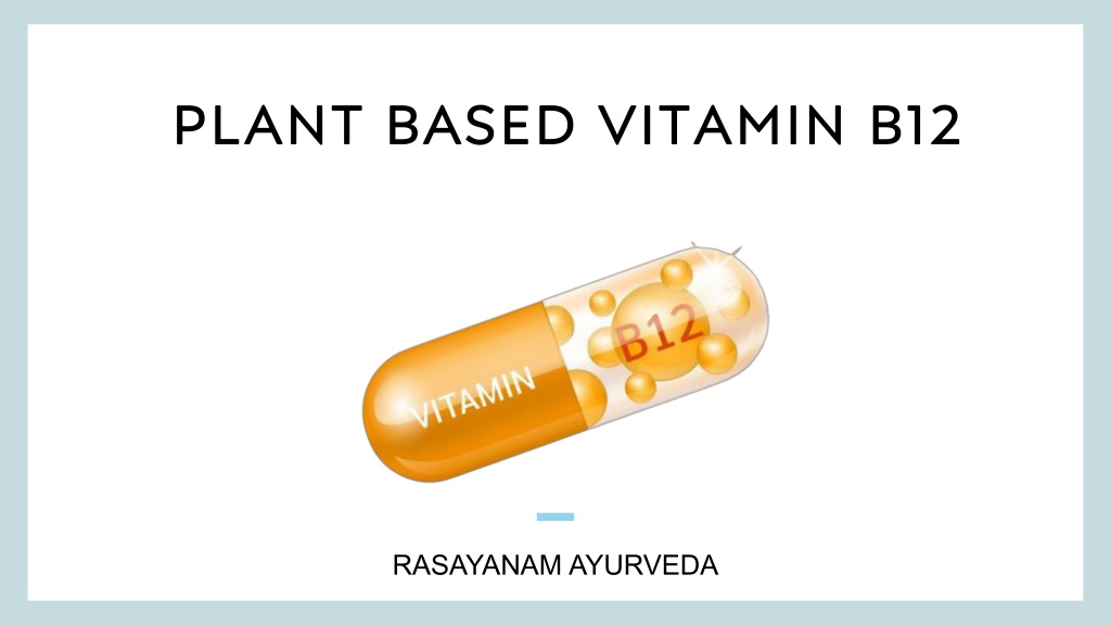 PPT - Plant Based vitamin b12 PowerPoint Presentation, free download ...