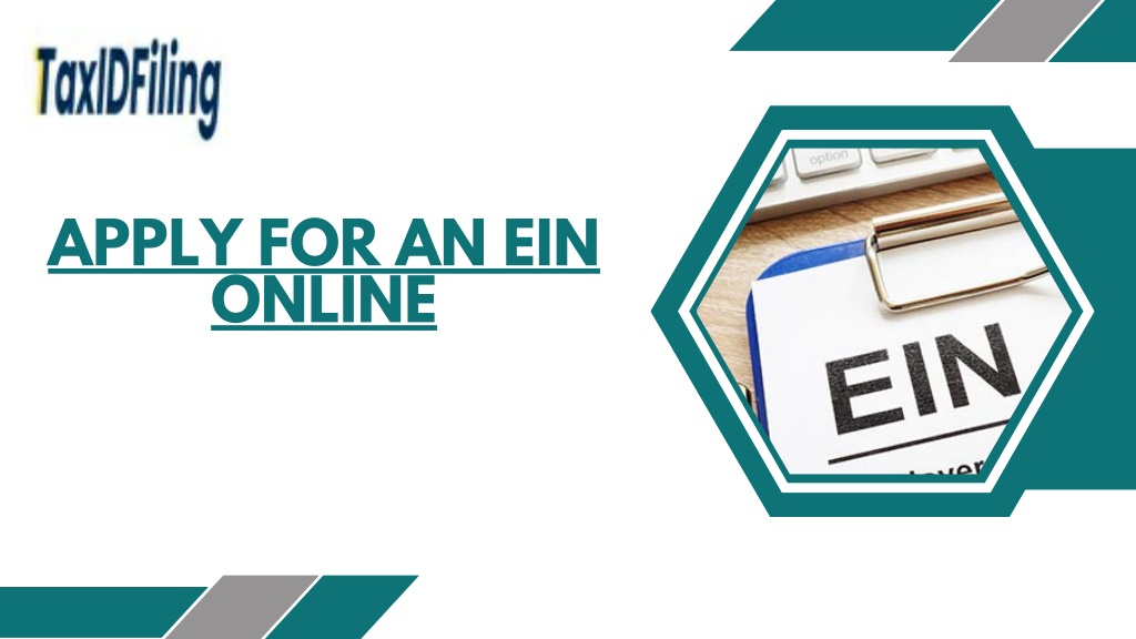 PPT - Apply For an EIN Online PowerPoint Presentation, free download - ID:12105301