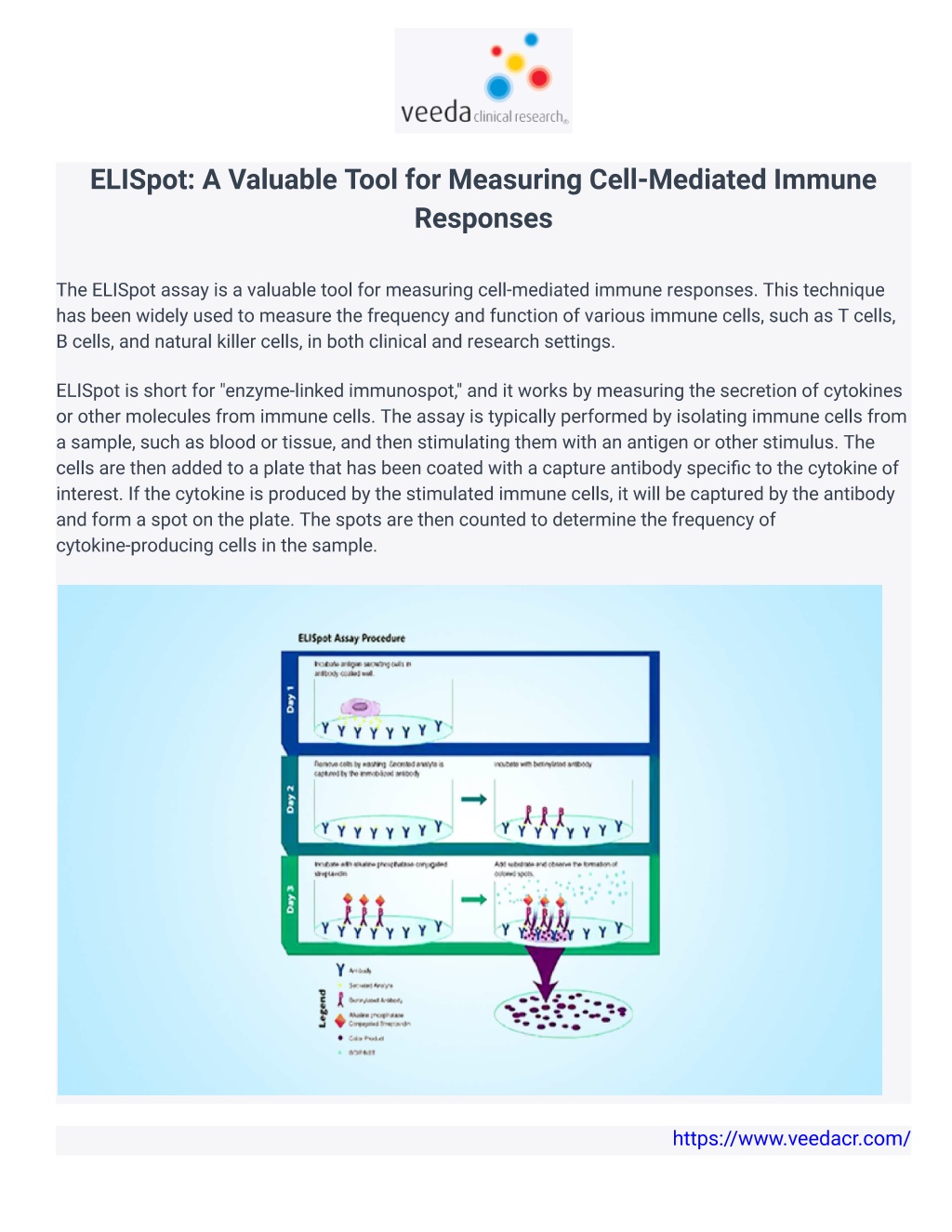 PPT - ELISpot: A Valuable Tool for Measuring Cell-Mediated Immune Responses PowerPoint ...